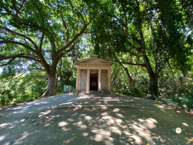 Botanische tuin in Málaga: 150 jaar historie | Emigreren Gran Canaria