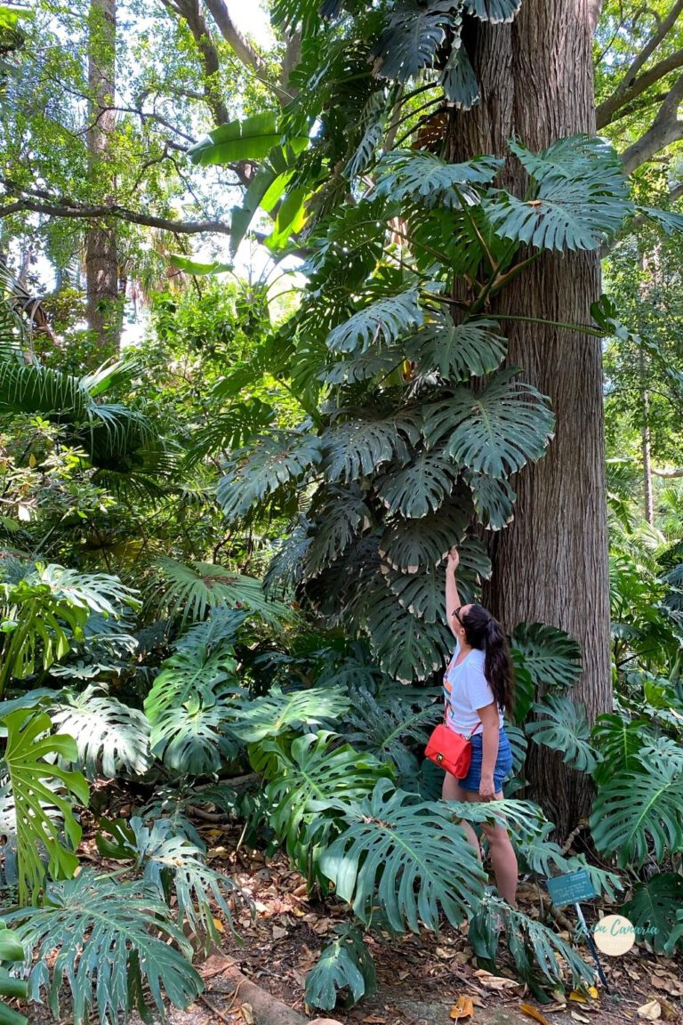 10 x toffe bezienswaardigheden in Malaga – Emigreren Gran Canaria