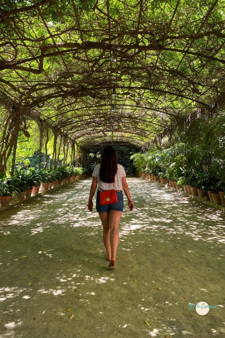 10 x toffe bezienswaardigheden in Malaga – Emigreren Gran Canaria