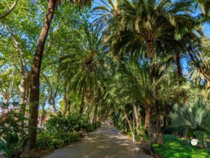 10 x toffe bezienswaardigheden in Malaga – Emigreren Gran Canaria
